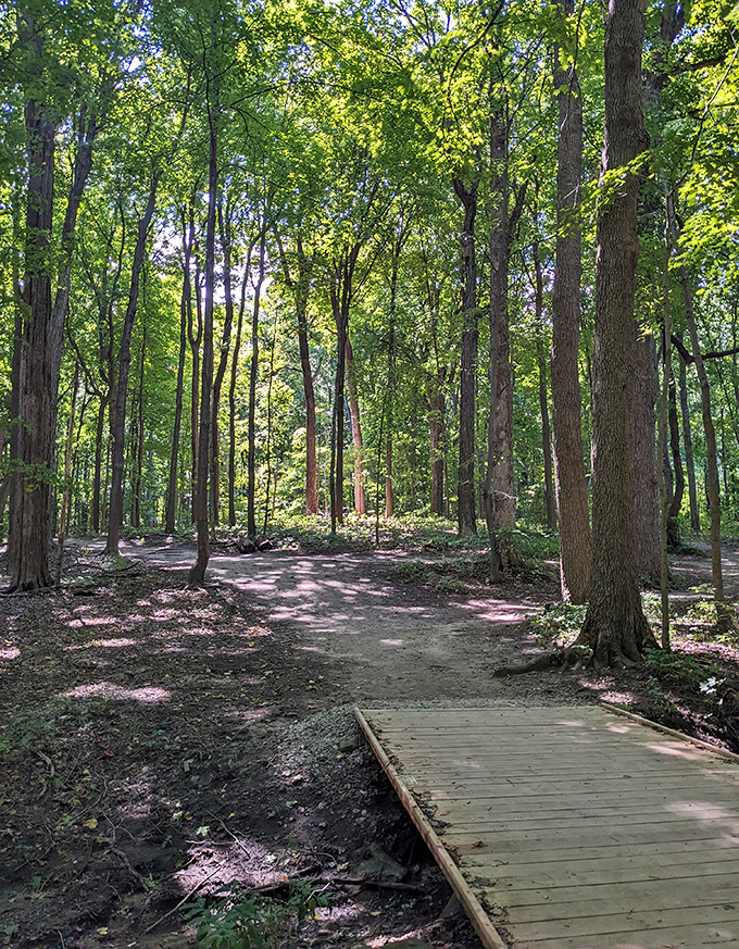 Maybury State Park's sun-dappled trails offer forest bathing therapy just minutes from downtown shopping therapy.