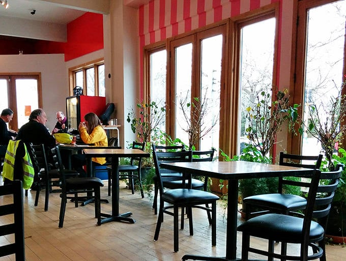 Sunlight streams through windows illuminating tables where countless Minneapolis mornings have been made better, one donut at a time.