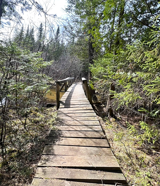 This narrow wooden boardwalk keeps feet dry while allowing visitors to experience wetland wonders up close.