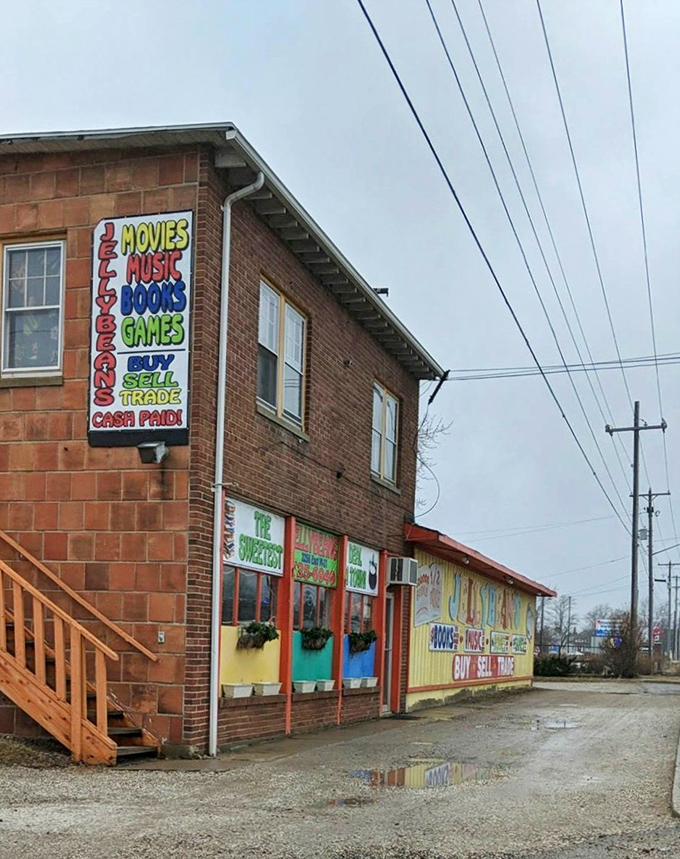 The brick exterior with its cheerful window boxes offers a warm welcome to literary adventurers, rain or shine in downtown Owosso.
