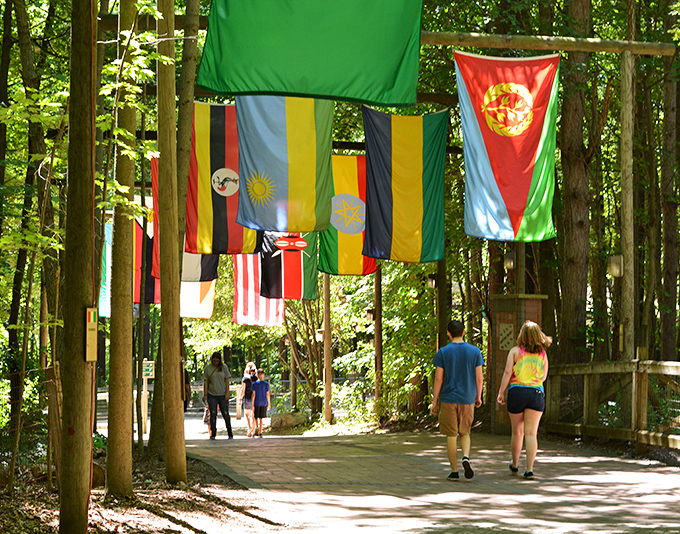 International flags create a canopy of color along this shaded walkway, adding a global perspective to your zoo adventure.