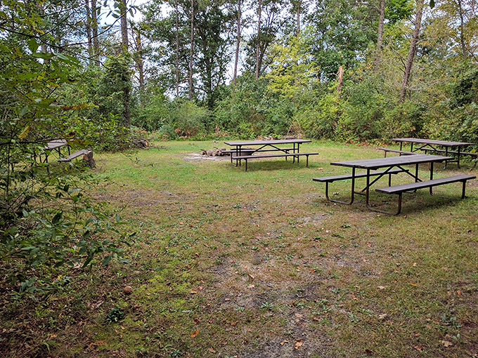 Rustic picnic areas along the trail offer peaceful spots to refuel, surrounded by Wisconsin's lush greenery and singing birds.