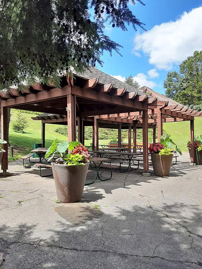 Picnic shelters provide shaded spots to refuel between trail adventures, because even nature lovers need snack breaks.