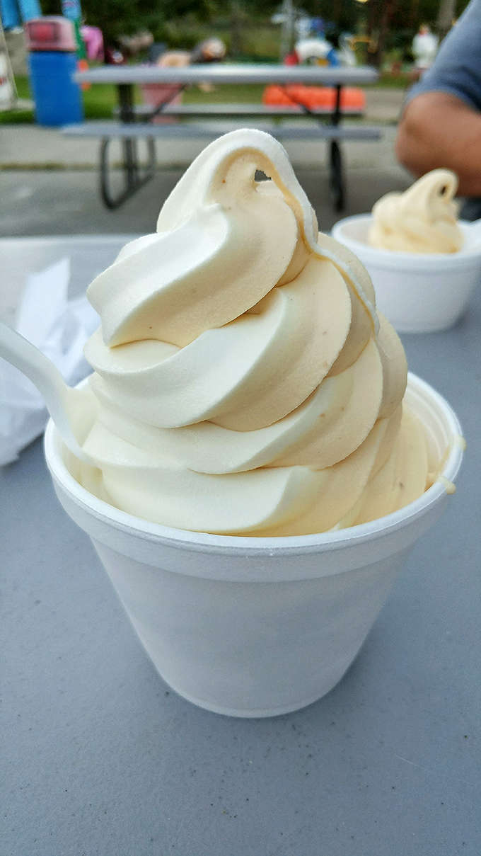Simple vanilla perfection &ndash; the baseline against which all other frozen desserts should be measured, swirled into a gravity-defying peak.