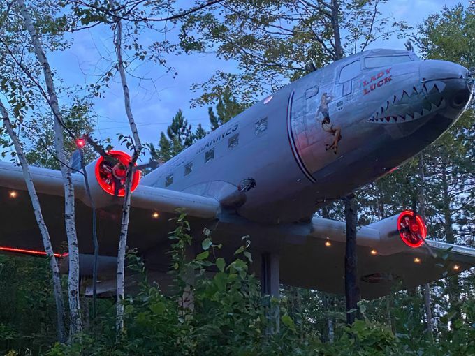 Dawn breaks over the aircraft, sunlight filtering through branches to illuminate this unique forest accommodation.