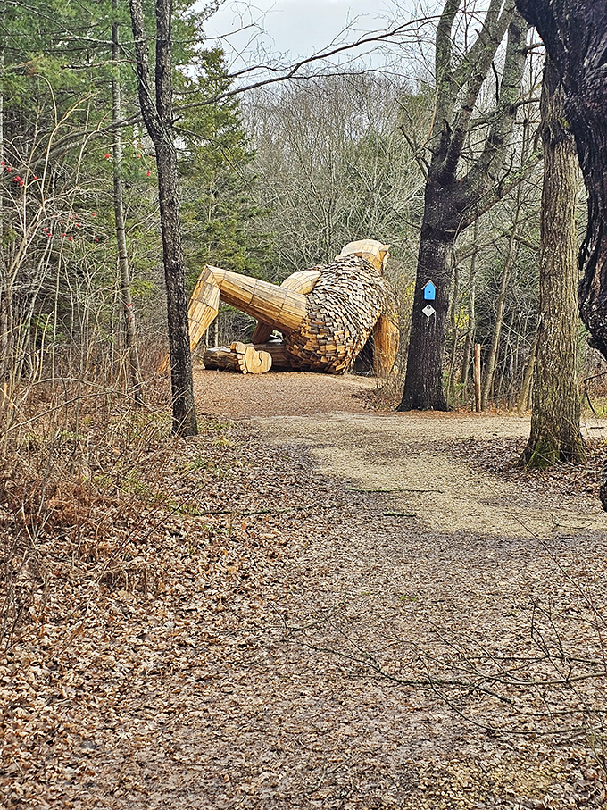 The trail reveals Benny resting between ancient trees, appearing as if he's been part of this forest landscape for centuries.