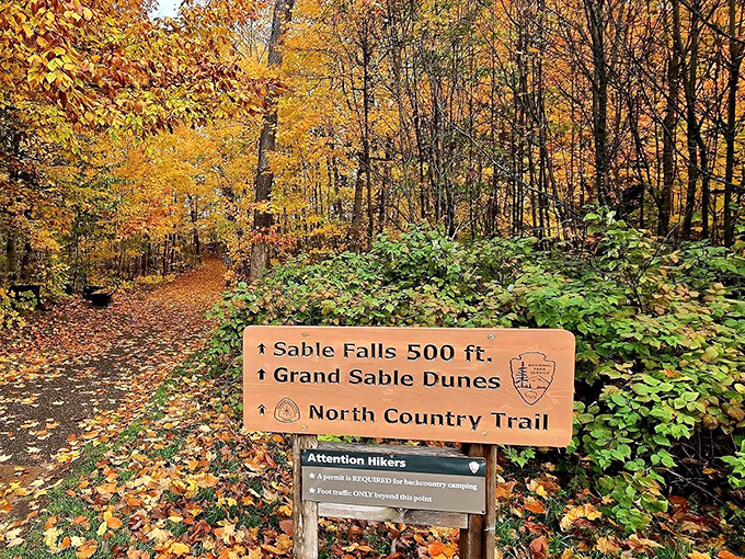 Trail signs point the way to multiple natural wonders, promising adventures in every direction for those willing to explore.