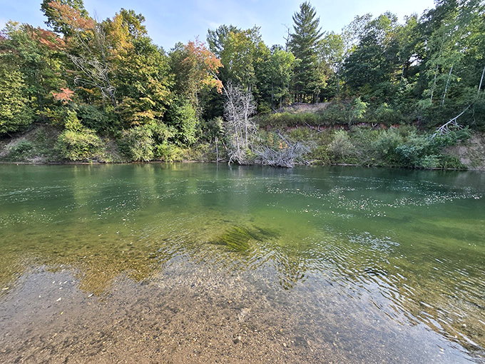 The Manistee's clear shallows reveal a world beneath the surface &ndash; nature's aquarium without the glass, admission fee, or gift shop.