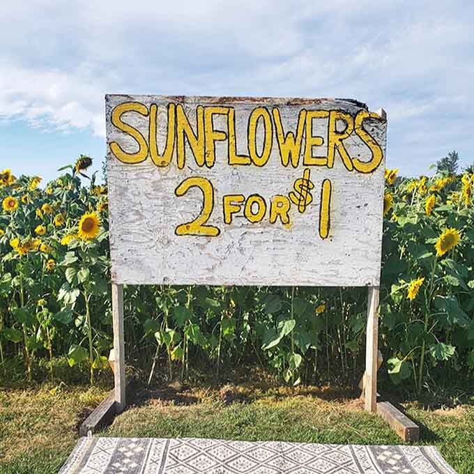 The entrance sign welcomes visitors to both Henderson Castle and its renowned H Prime Chophouse, promising dual delights ahead.