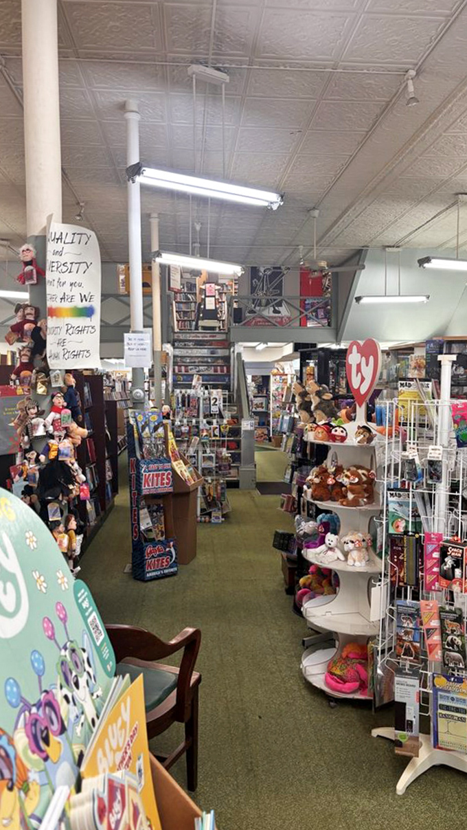 Browsing becomes an adventure as you navigate aisles packed with discoveries, each shelf offering new literary possibilities.