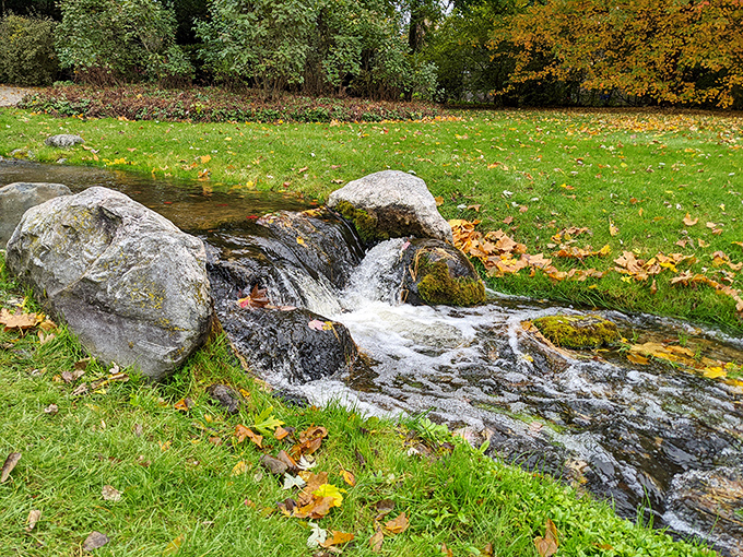 A babbling brook creates nature's perfect soundtrack, the kind people pay good money to download as sleep apps.