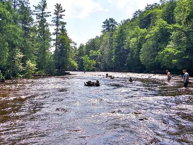 The gentle prelude to nature's symphony, where waters gather stories from cedar swamps before their dramatic crescendo downstream.