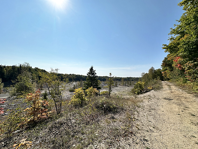 Winding paths through reclaimed quarry land offer solitude and discovery, where industrial purpose has given way to natural wonder.