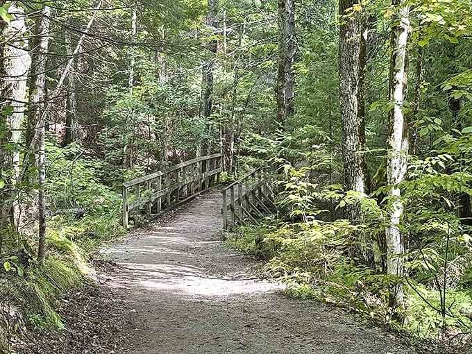 This bridge isn't just crossing a stream – it's connecting visitors to memories they'll carry long after the mud dries from their boots.
