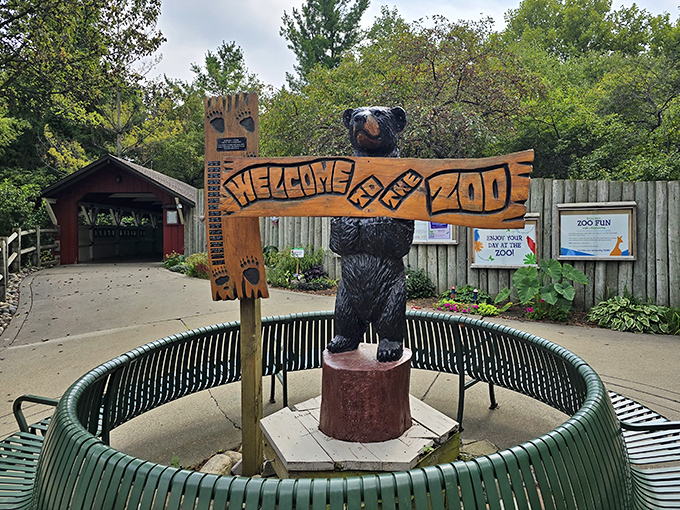 Beary nice to meet you! The whimsical welcome sign sets the tone for the charming adventures waiting inside.