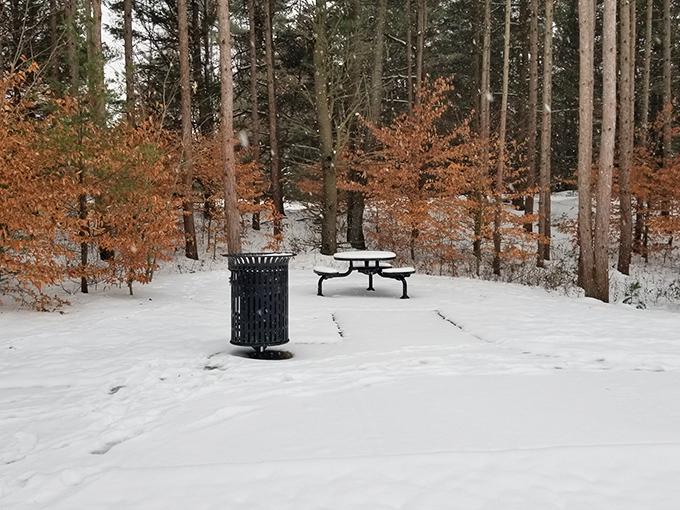 Winter transforms Olive Shores into a snow globe scene where solitude comes with a side of serenity.