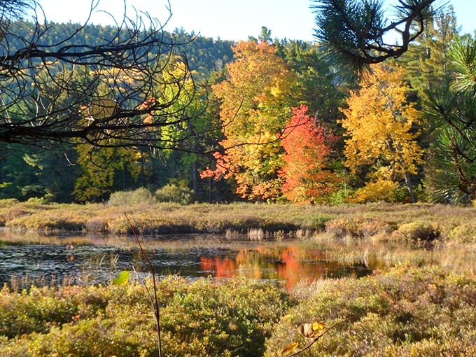 Fall's palette reflects perfectly in this hidden pond, doubling the visual impact of nature's seasonal art show.