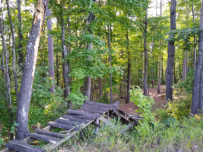 Wooden Forest Bridge: Nature's version of "look but don't touch." This weathered walkway has witnessed more tentative steps than a toddler learning to walk.