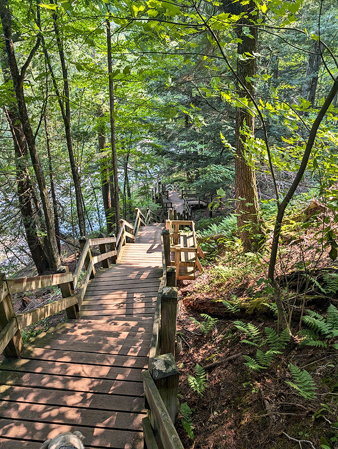 Descending into the forest's embrace on steps that seem to lead straight into a fairy tale setting.