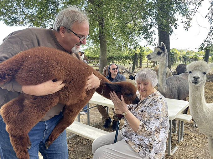 A moment of alpaca connection that captures why these animals make such an impression on visitors – gentle souls meeting across species boundaries.
