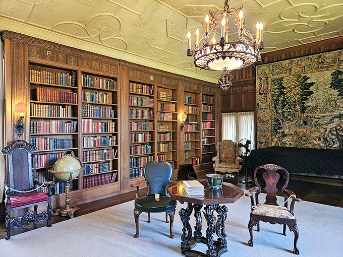 The library isn't just filled with books &ndash; it's filled with possibilities, where leather-bound volumes line walls like soldiers guarding centuries of knowledge.