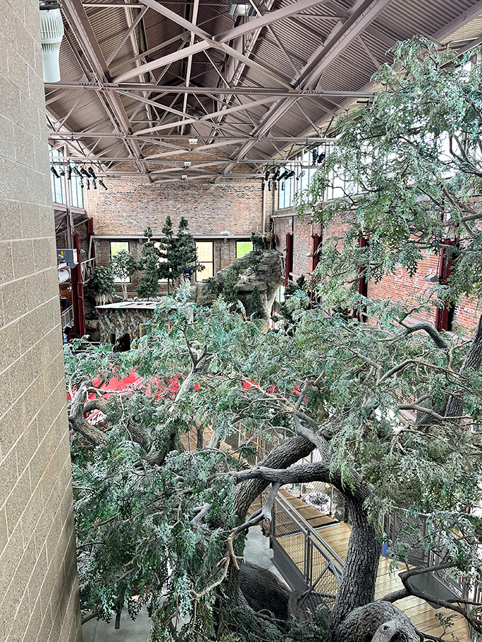 Careful attention to detail makes these indoor environments feel remarkably authentic, from the texture of bark to the quality of light filtering through branches.