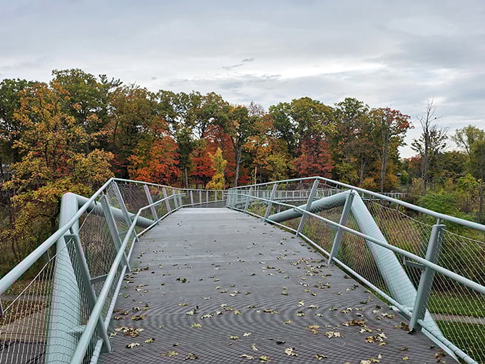 The walkway's gentle curves invite exploration, promising new vistas and discoveries around every bend.