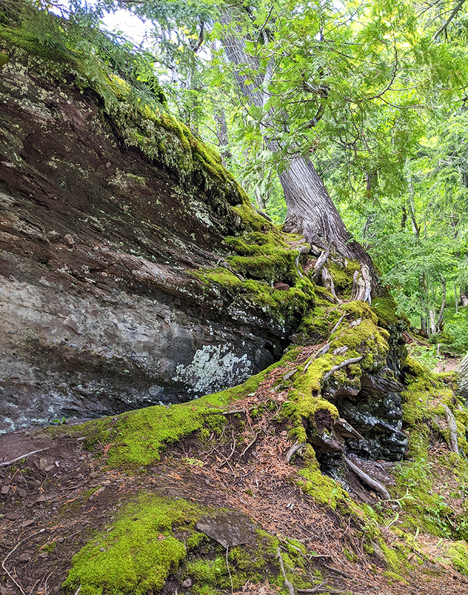 Nature's velvet upholstery: Emerald moss blankets the ancient rocks, softening edges that have weathered millennia of Michigan seasons.