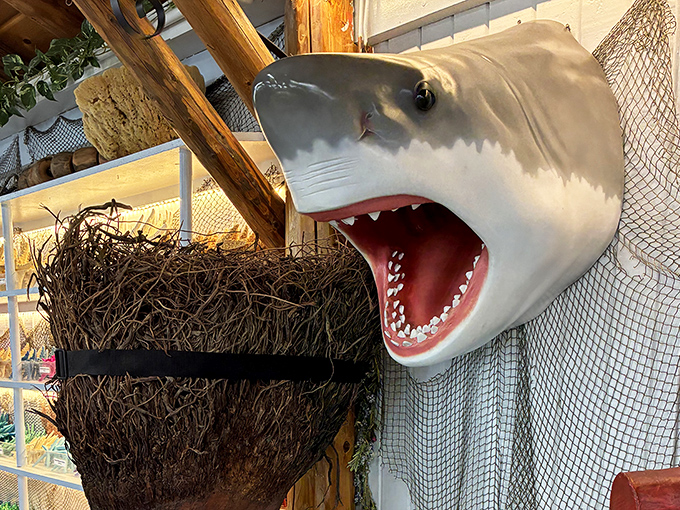 We're gonna need a bigger boat&mdash;this toothy greeter ensures your Sea Shell City visit remains jaw-droppingly memorable.
