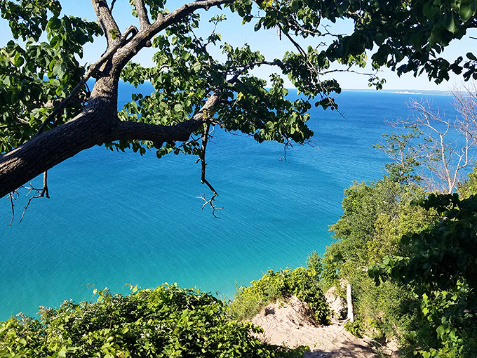 Framed by branches, Lake Michigan stretches to the horizon in impossible shades of blue.