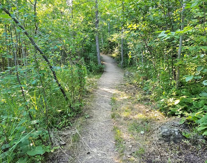 This unassuming path keeps its secrets until you're ready – the best adventures never advertise themselves too loudly.