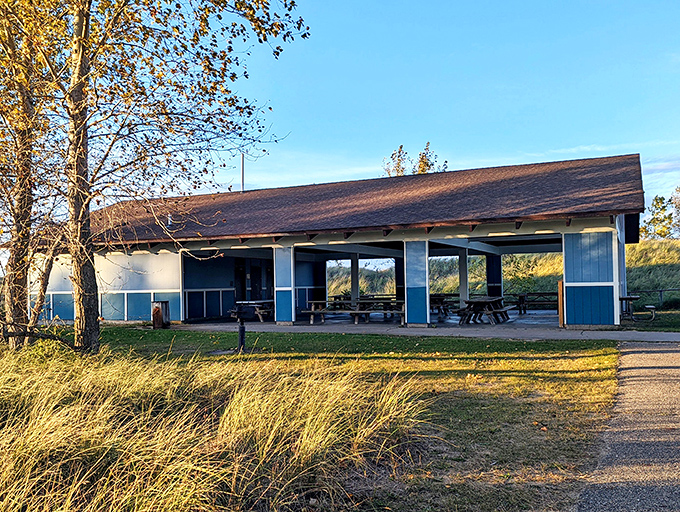 The park's picnic pavilion stands ready for family gatherings, with its sturdy roof providing shelter while keeping nature's beauty accessible.