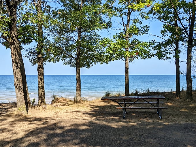 Shaded picnic spots offer respite from summer heat, where family memories are made between bites of slightly sandy sandwiches.