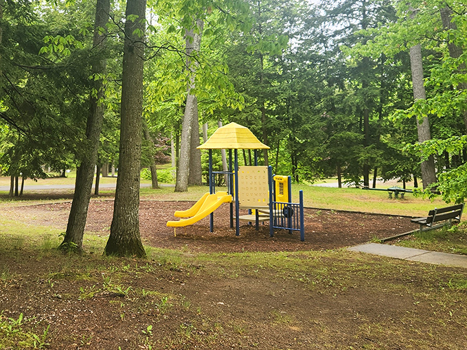 The playground sits nestled among towering trees, where kids can swing while surrounded by nature's majesty. Childhood as it should be!