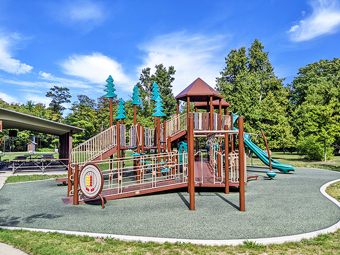 This playground might entertain the kids, but the real playground stretches for 1,350 acres all around it.