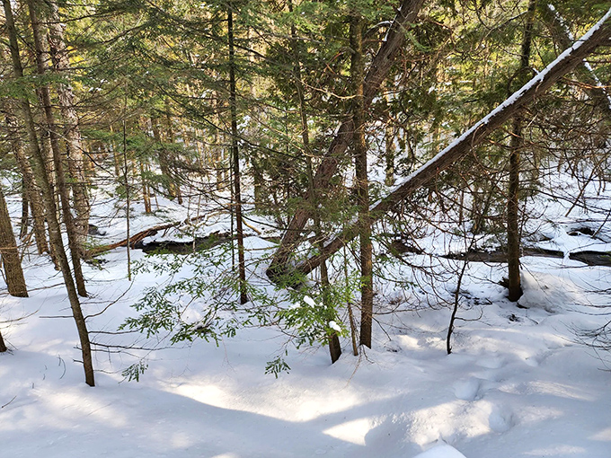 Winter transforms Wagner Falls into a frozen fantasy where time itself seems suspended, proving Michigan's magic doesn't hibernate.