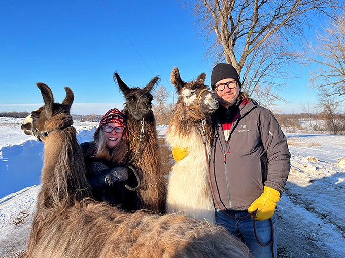 Cold weather, warm hearts. Winter treks offer a peaceful experience through snow-covered trails with companions who are naturally dressed for the occasion.