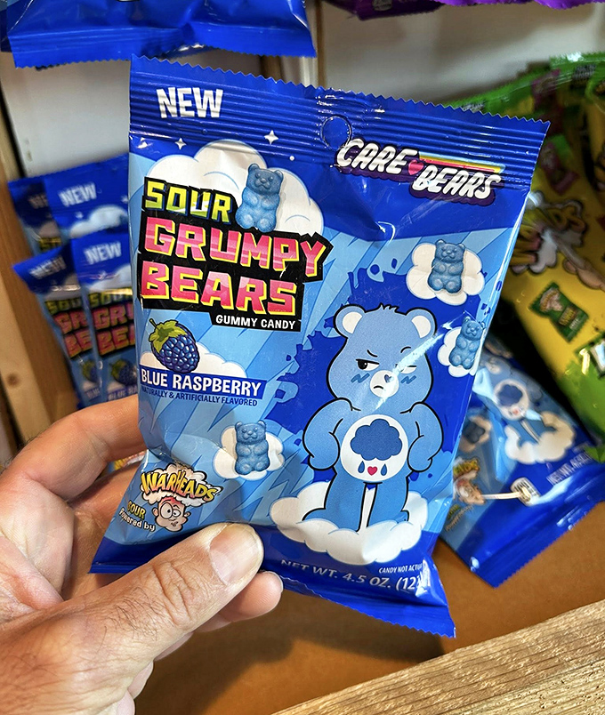 Sour Grumpy Bears – for when your taste buds want excitement but your face needs to match your Monday morning mood.