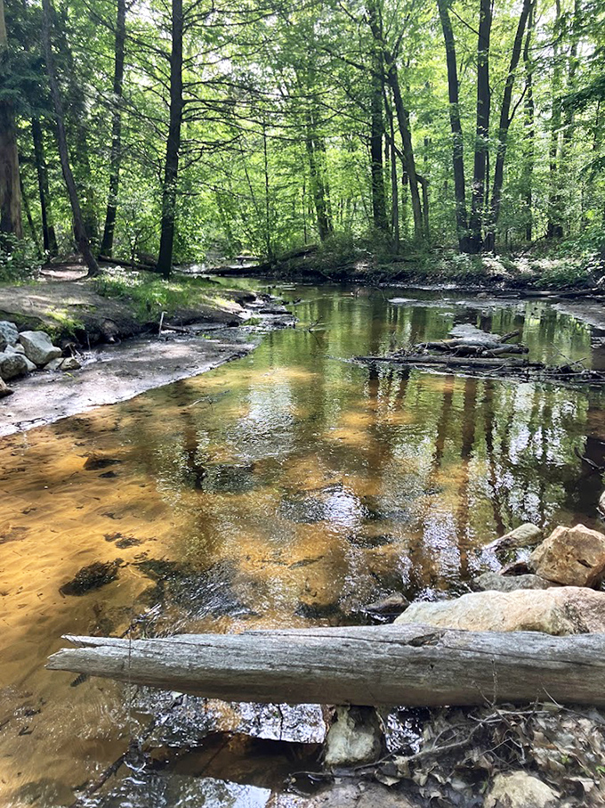 Crystal clear waters meander through sun-dappled woods, creating nature's version of a meditation app &ndash; minus the subscription fee.