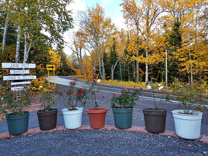 Seasonal blooms frame the path to pastry paradise, where Michigan's natural bounty becomes the inspiration for the monks' culinary creations.