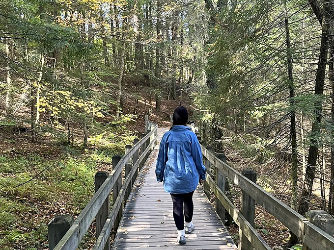 The boardwalk journey is part of the experience, leading visitors through a forest that feels increasingly enchanted with each step.