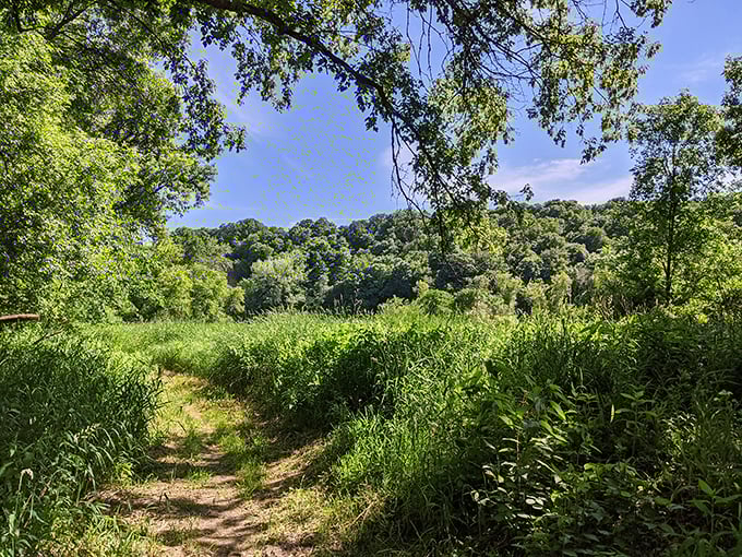 Nature trails wind through the countryside surrounding New Ulm, providing peaceful escapes and glimpses of Minnesota's native prairie landscape.