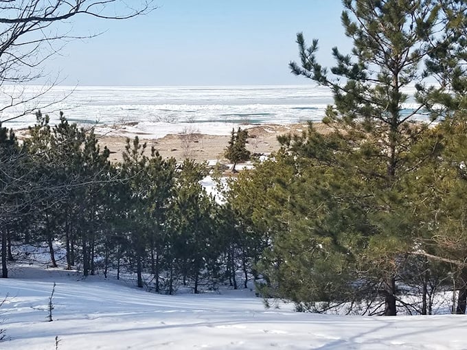 Winter transforms the preserve into a snow-globe landscape where Lake Michigan's frozen edge creates otherworldly ice formations.