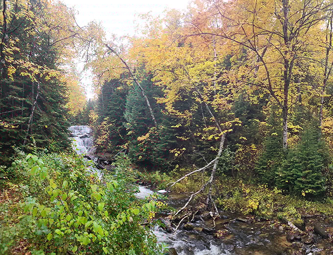 Fall foliage creates a tapestry of color that makes you wonder why we ever invented paint swatches in the first place.