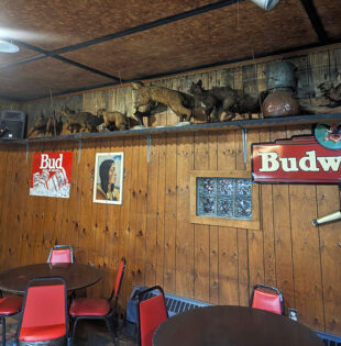 This Wonderfully Weird Museum Bar In Michigan Is Too Wacky For Words