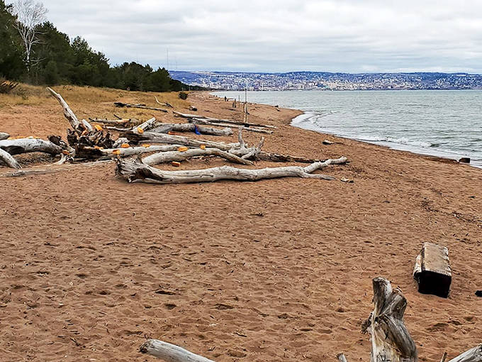 Beach treasures await discovery along Park Point's shore, where each piece of driftwood tells a story of its journey.