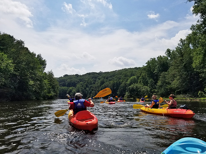 Barton Nature Area's peaceful waters invite kayakers to glide alongside nature, where turtles sun themselves and time moves at the pace of gentle currents.