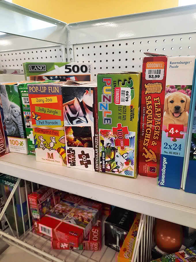 Board games and puzzles await families looking for affordable entertainment, each box promising hours of screen-free fun for just a few dollars.