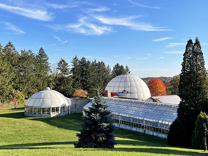 The distinctive domed conservatories house tropical and arid plant collections that transport you to different climates without leaving Michigan.