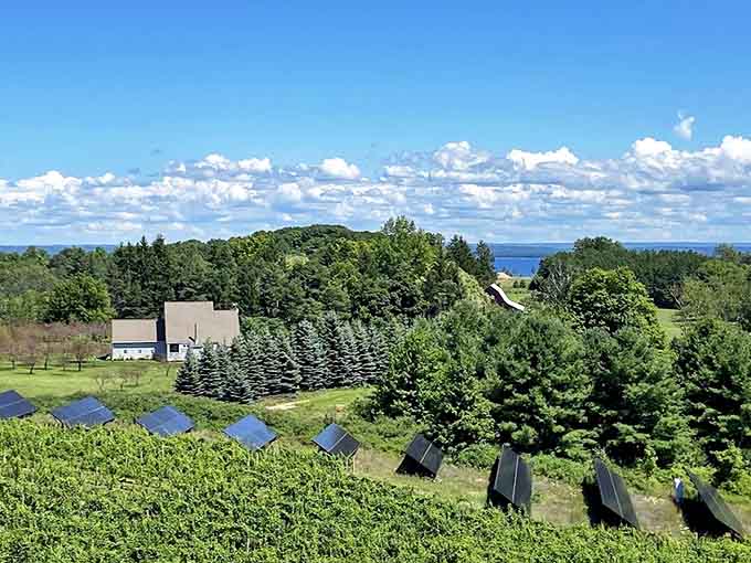 Even the solar panels enjoy million-dollar views at this eco-conscious winery perched above Grand Traverse Bay.